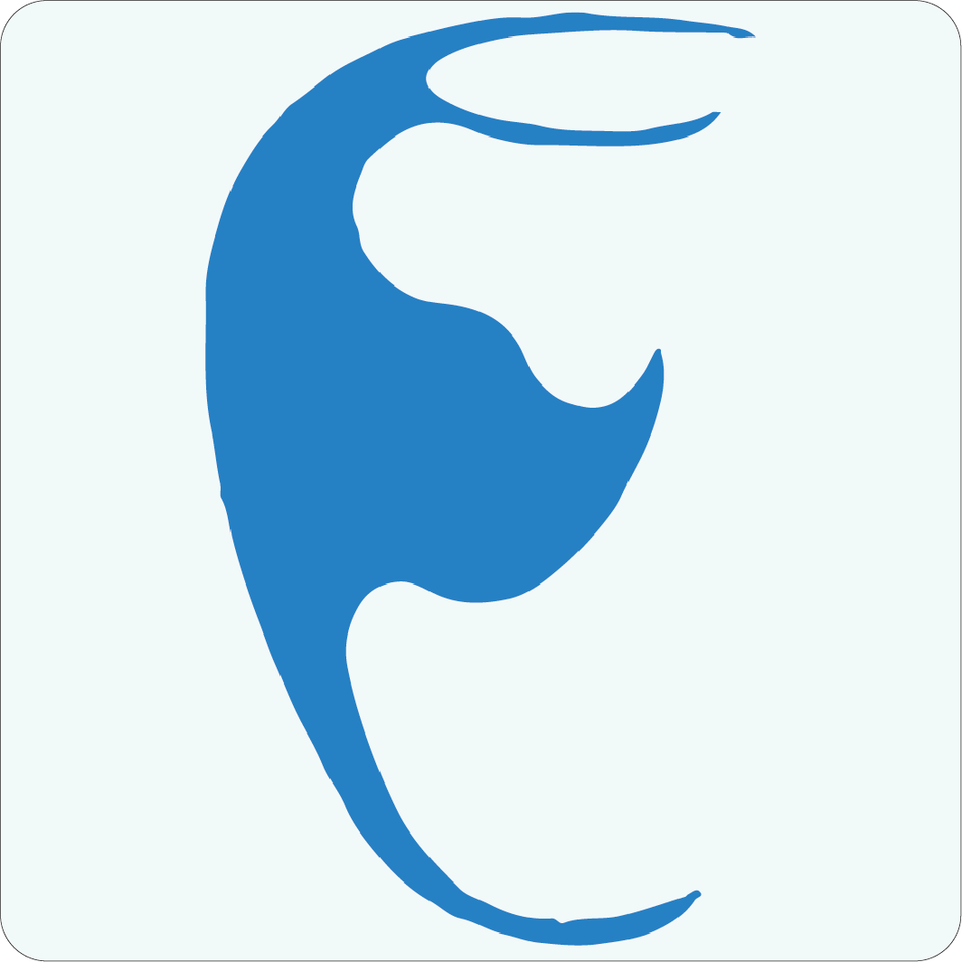 Box O Fun - Fun, Focus & Freedom